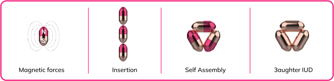 Science & Technology - 3Daughters